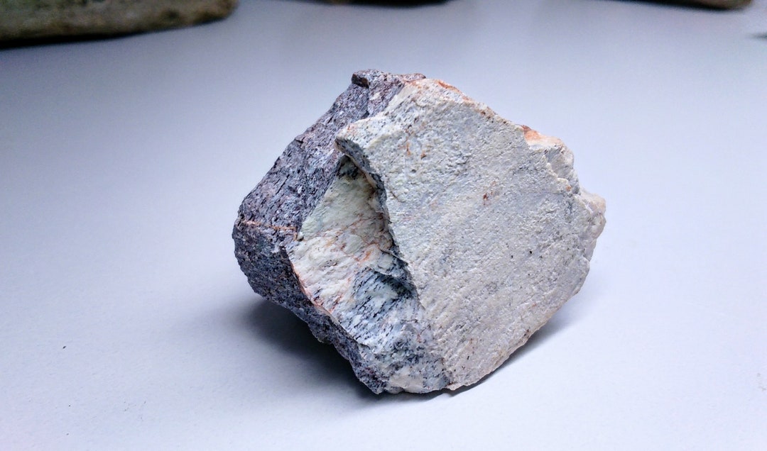 Tyrannosaurus Rex Dinosaur Bone 100 Million Years Old Large Moroccan T ...