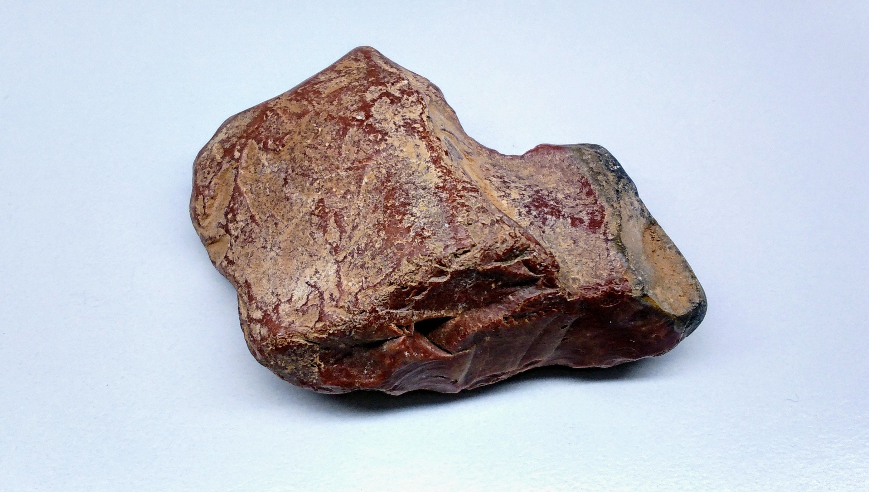 Large Jurassic Dinosaur Gastrolith Rock Ingested by a Jurassic Dinosaur ...