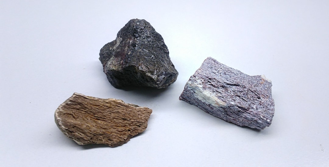 Dinosaur Bone Variety Set of 3 - Jurassic and Cretaceous Dinosaur Bone ...