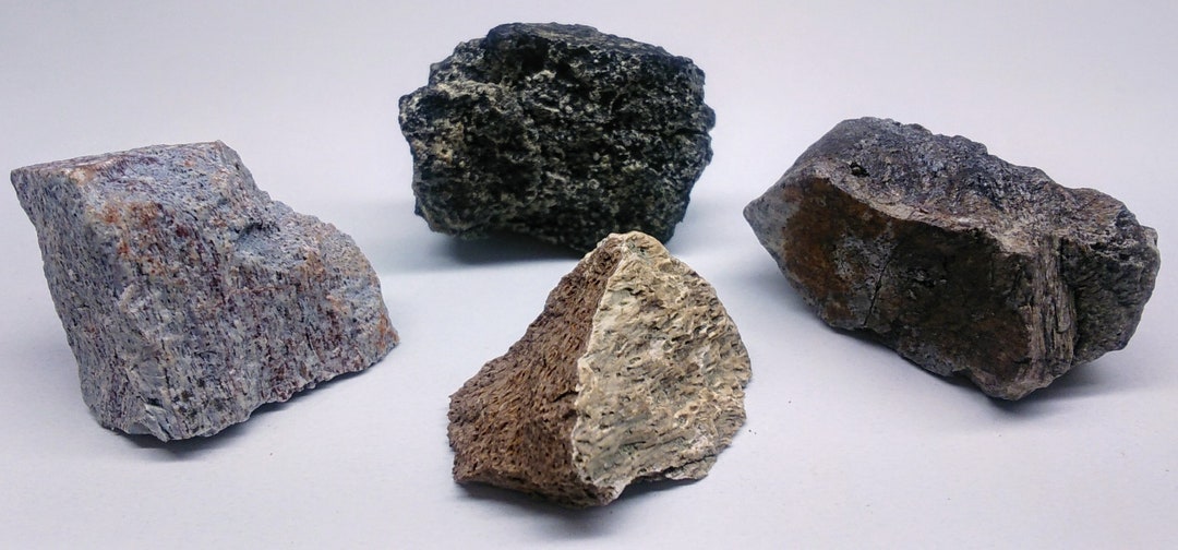 Dinosaur Bone Variety Set of 4 - Jurassic and Cretaceous Dinosaur Bone ...