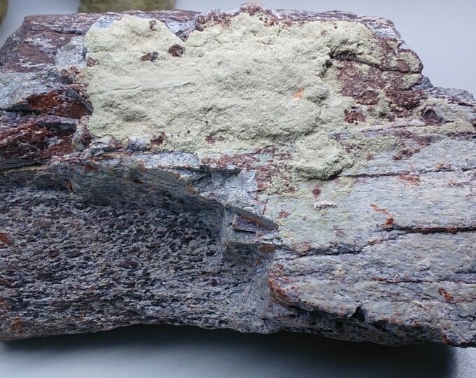 LARGE Tyrannosaurus Rex Dinosaur Bone 100 Million Years Old Authentic ...