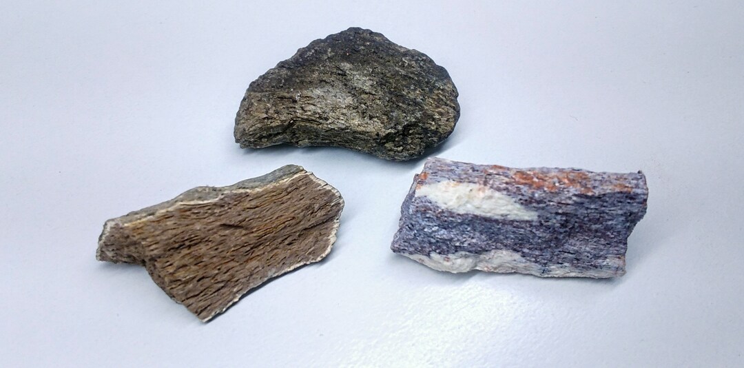 Dinosaur Bone Variety Set of 3 - Jurassic and Cretaceous Dinosaur Bone ...