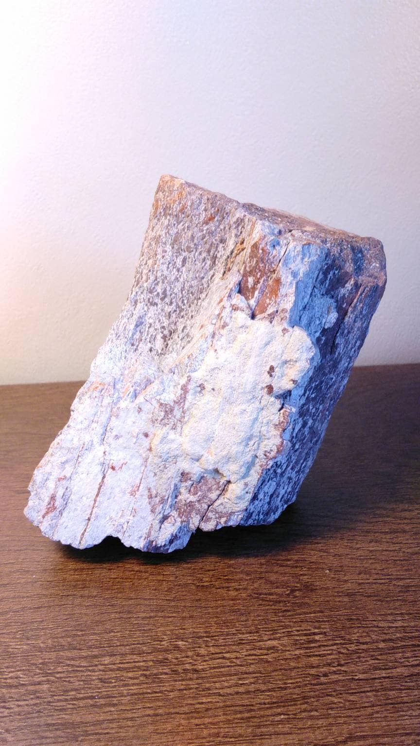 LARGE Tyrannosaurus Rex Dinosaur Bone 100 Million Years Old - Etsy