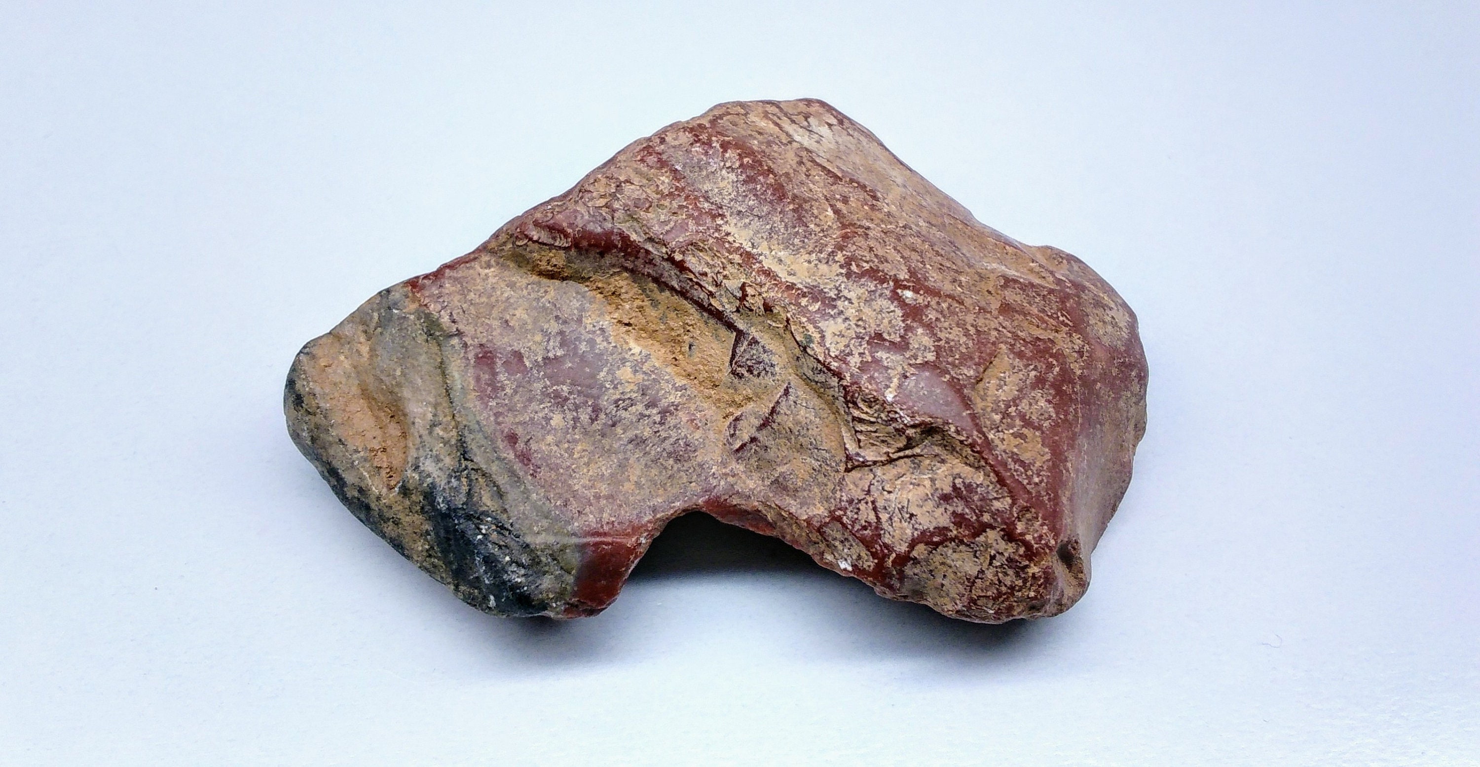 Large Jurassic Dinosaur Gastrolith Rock Ingested by a Jurassic Dinosaur ...