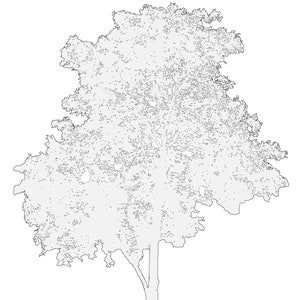 Landscape Architecture Set of 5 Vector Nordic Trees Illustrator - Etsy