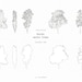 Landscape Architecture Set of 5 Vector Nordic Trees Illustrator - Etsy