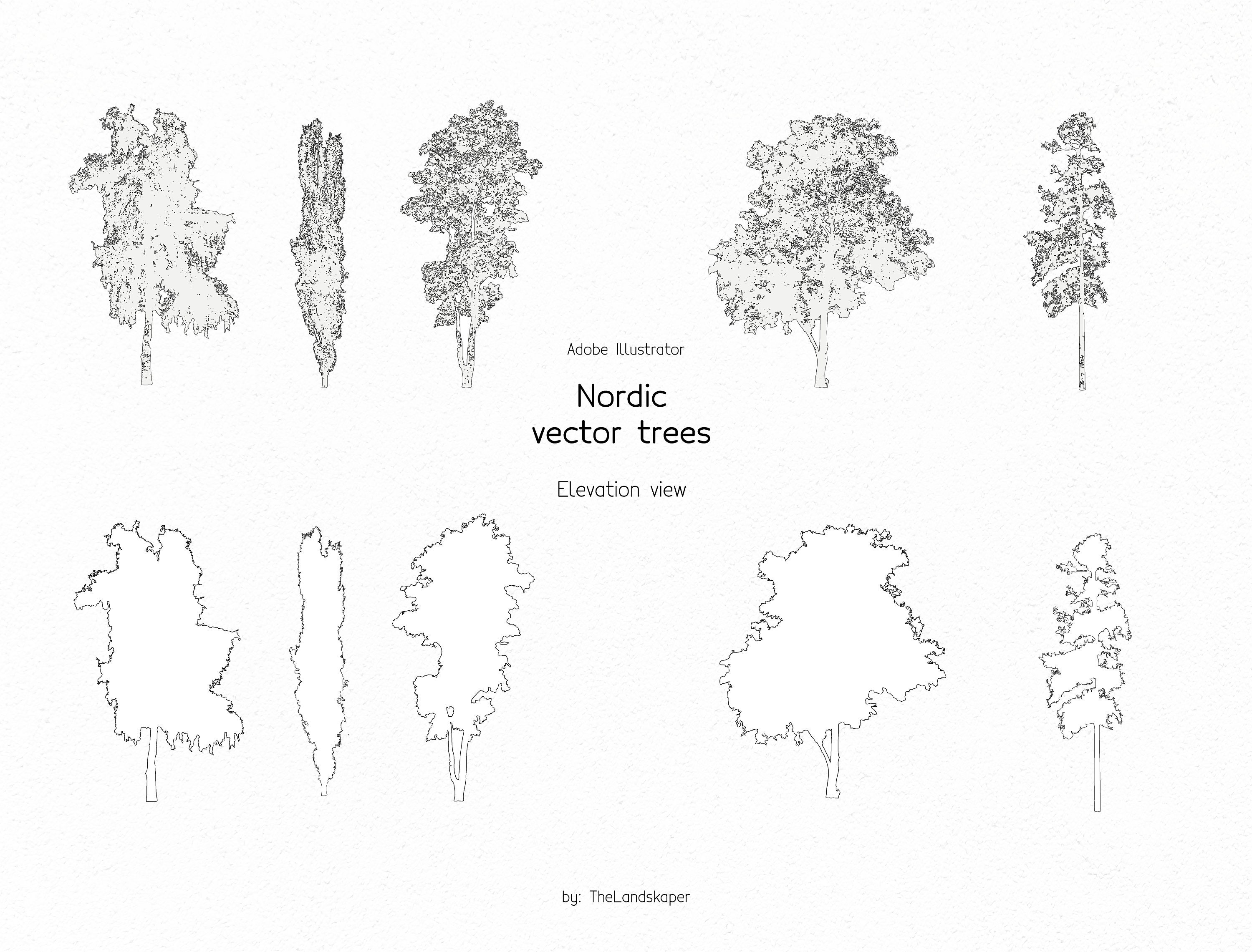 Landscape Architecture Set of 5 Vector Nordic Trees Illustrator - Etsy