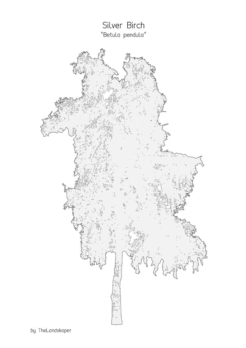 Landscape Architecture Set of 5 Vector Nordic Trees Illustrator - Etsy