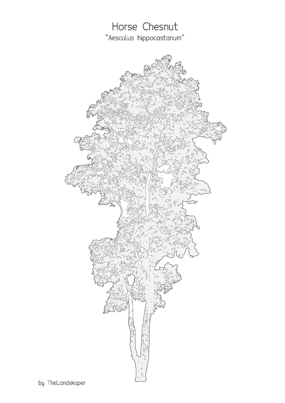 Landscape Architecture Set of 5 Vector Nordic Trees Illustrator - Etsy