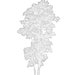 Landscape Architecture Set of 5 Vector Nordic Trees Illustrator - Etsy