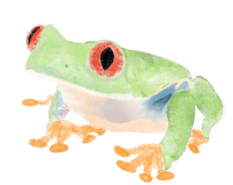 Tree Frog Print - Etsy