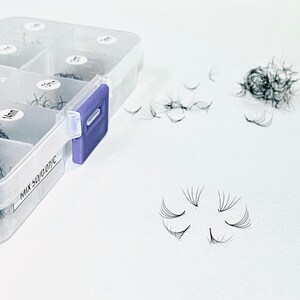 1000-1200 MIXED FANS Promade Size Loose Fans 4D 5D 8D 10D 14D & Curl C ...