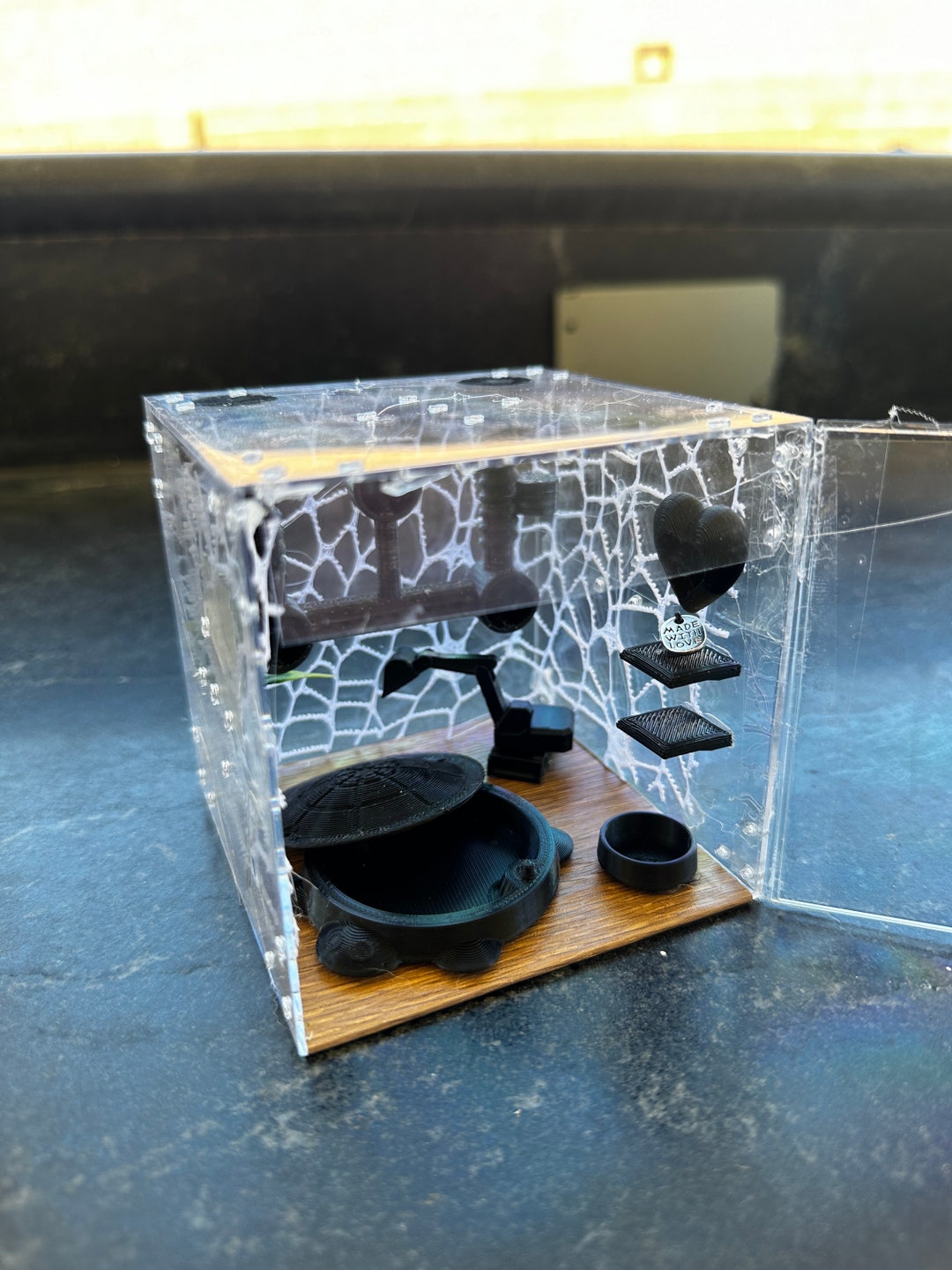 Jumping Spider Enclosure Cube 4 - Etsy