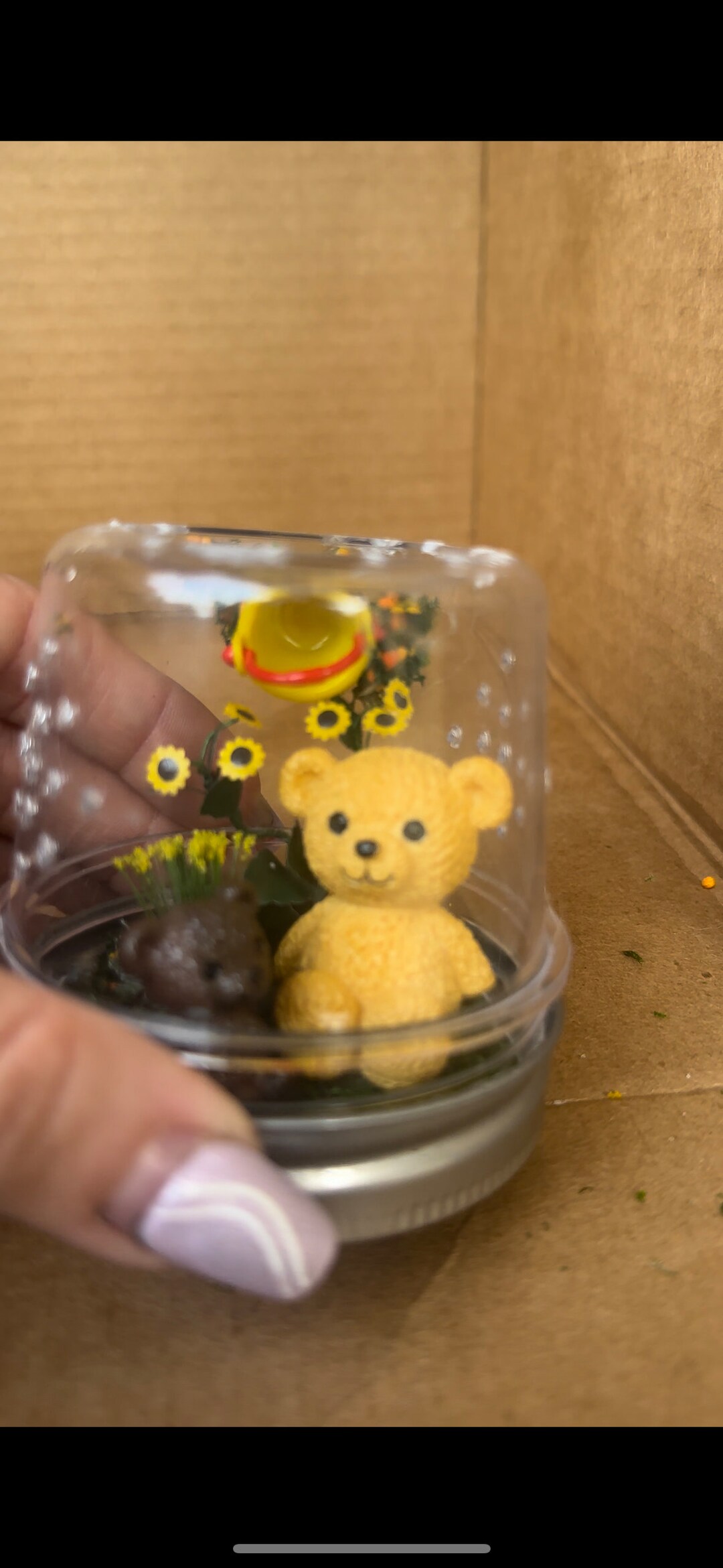 Jumping Spider Enclosure Jar 2 - Etsy