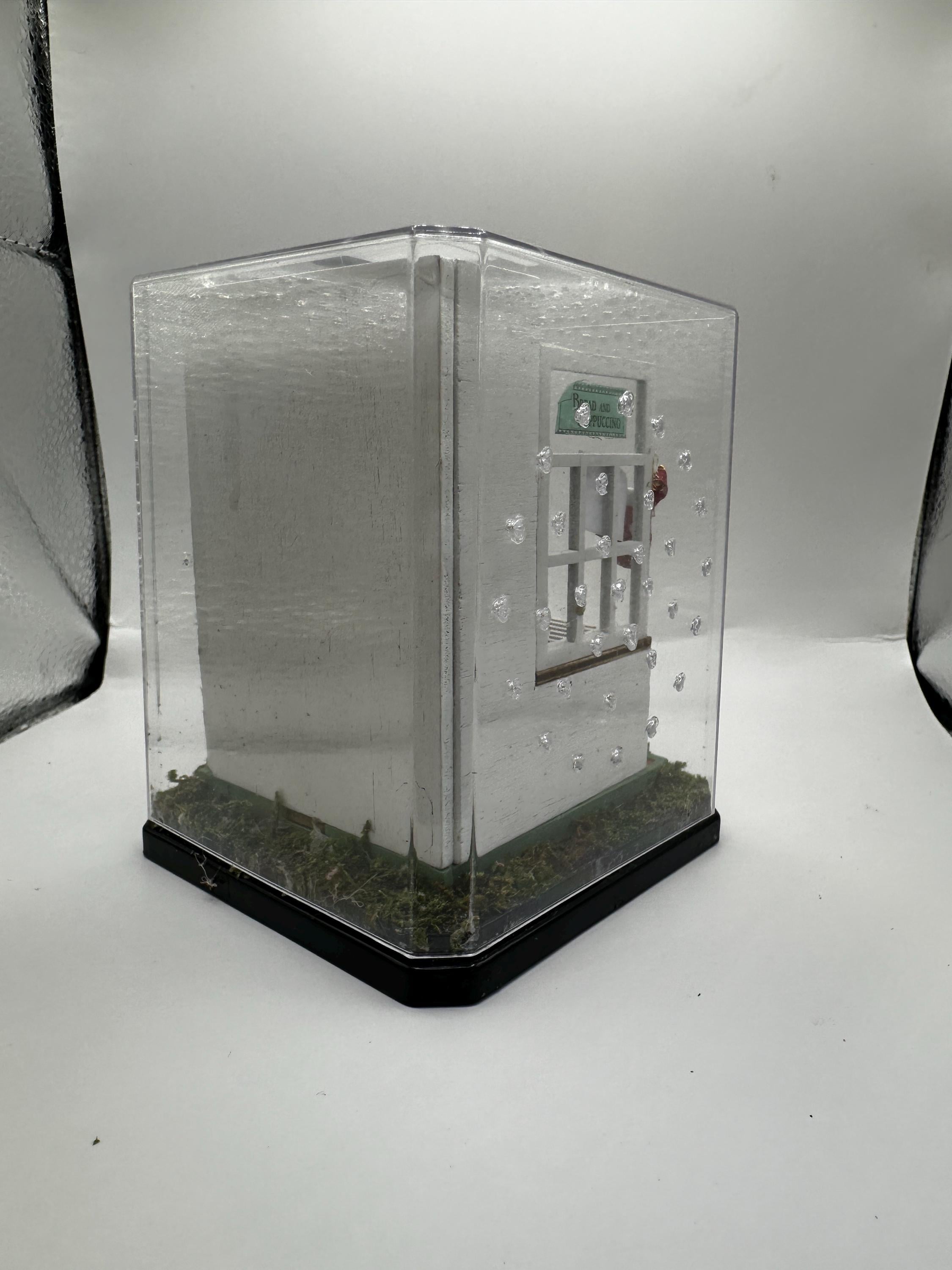 Realistic Jumping Spider Enclosure Kitchen - Etsy