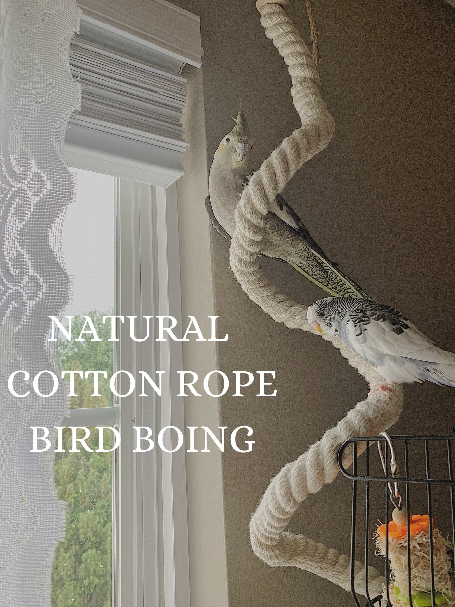 Pet Bird Boing/bendable Cotton Rope Perch for Small to Medium Size ...