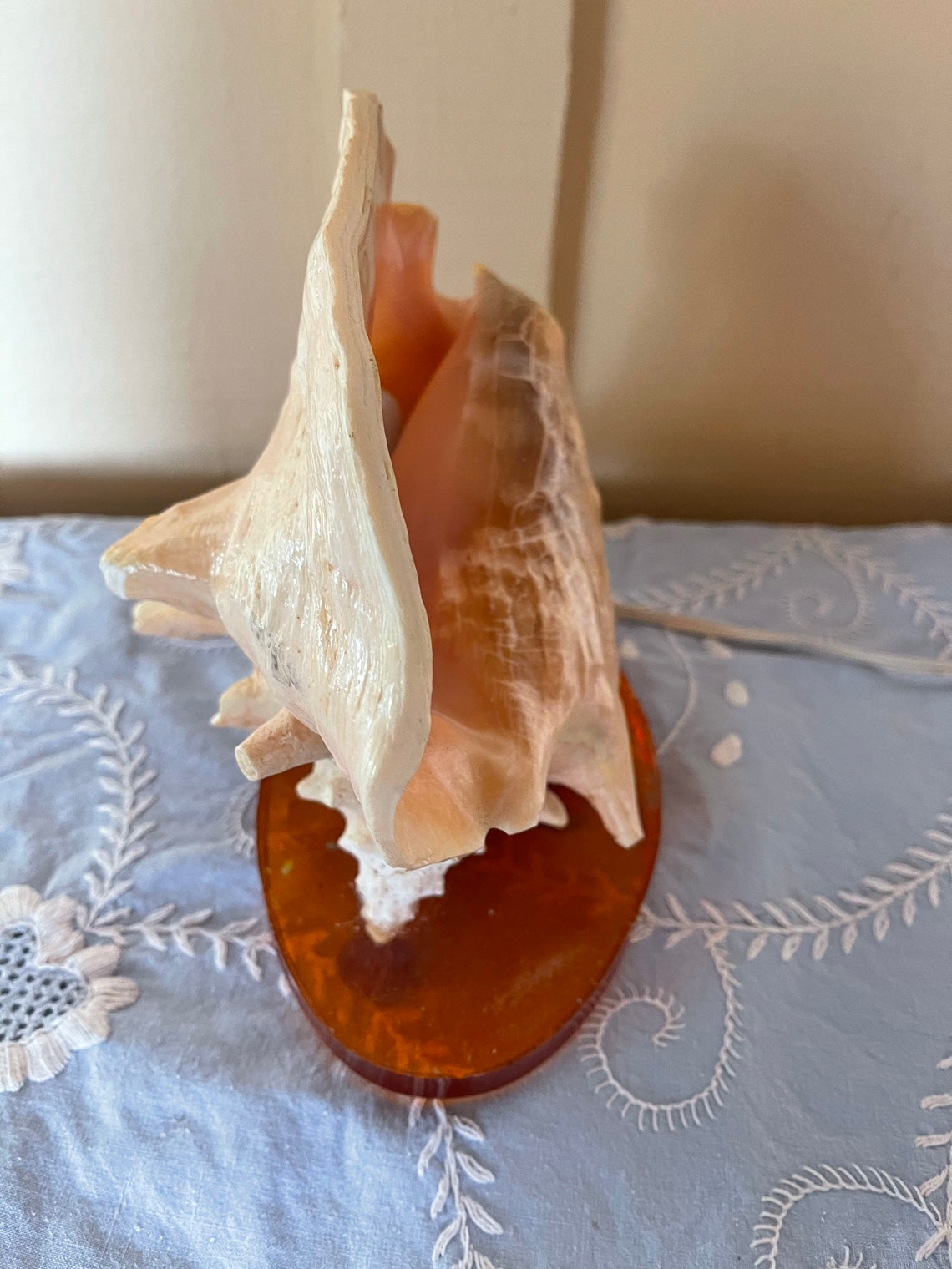 Vintage Conch Shell Lamp Vintage Seashell Light Beach House | Etsy