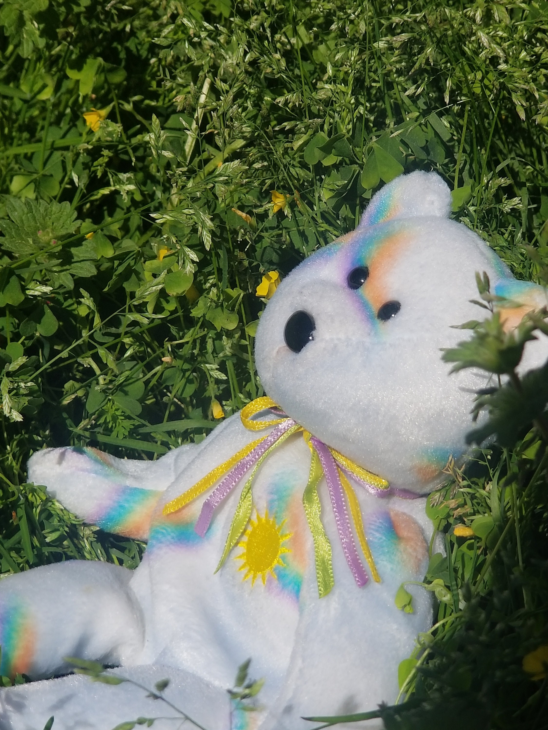RARE! Cherry Beanie Baby, Limited Offer - Etsy UK
