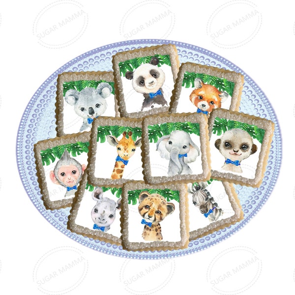 Zoo Animal Cookies - Etsy
