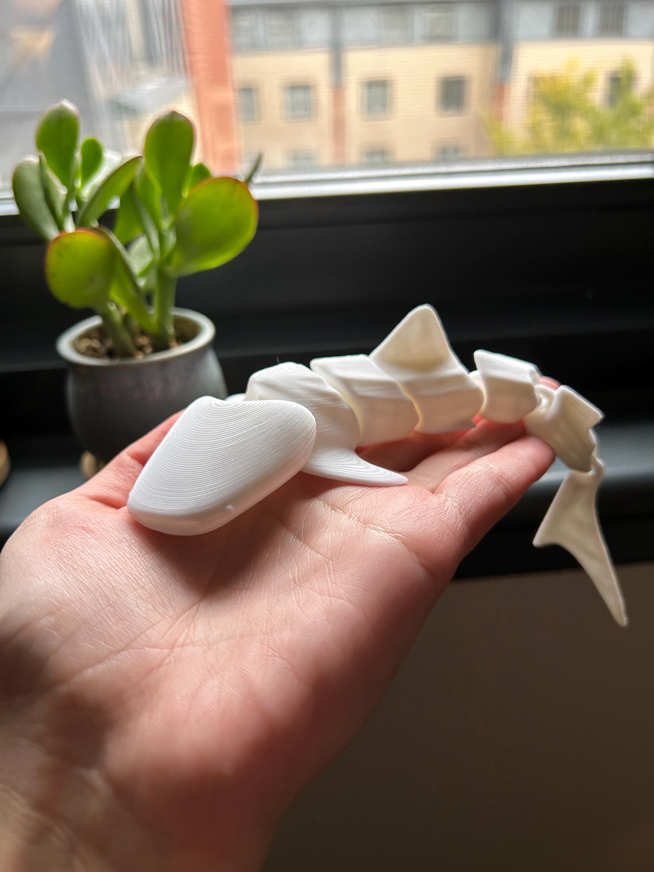 3D Printed Flexible Whale Shark Fidget Toy Stim Toy Neurodivergent ...