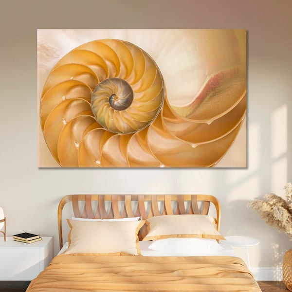 Nautilus Art - Etsy