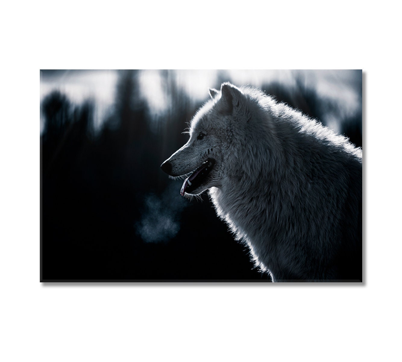 Arctic Wolf Wall Art White Wolf Canvas Print Wolf Wall Decor - Etsy