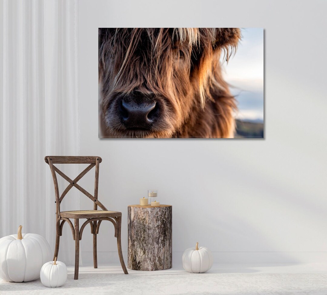 Highland Cow Canvas Art | Rustic Farmhouse Wall Decor | Highland Cow ...
