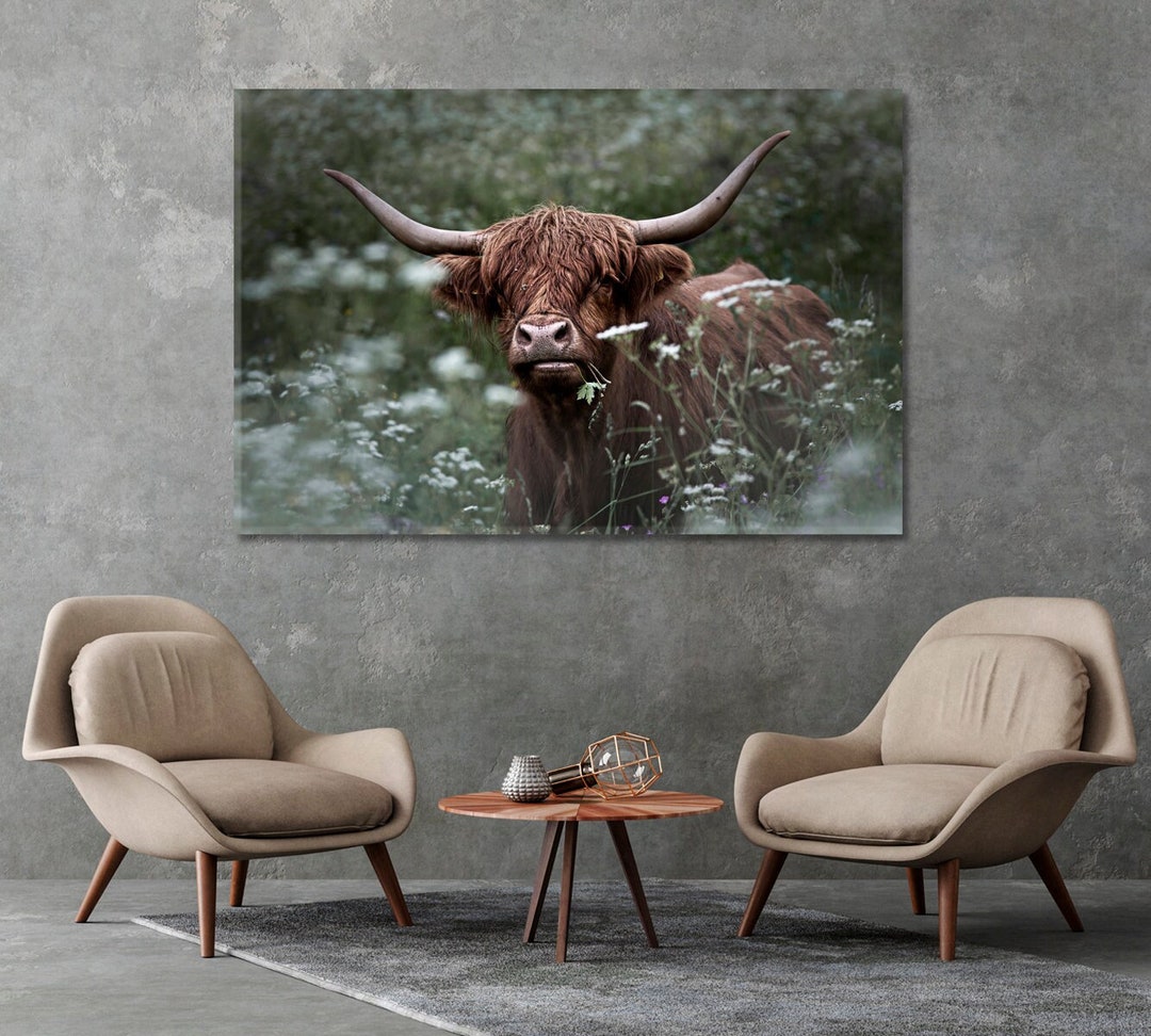 Highland Cow in the Meadow Wall Decor | Scottish Highland Cow Field ...
