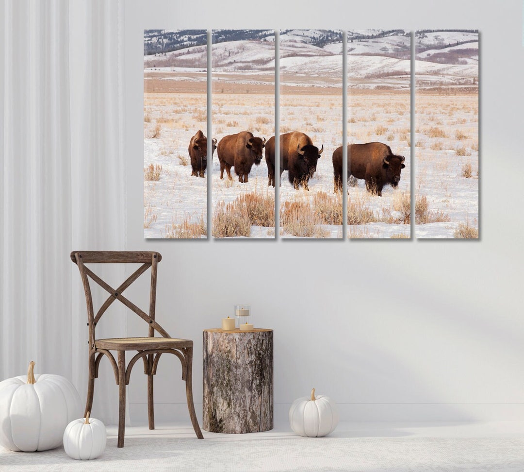American Buffalo Canvas Wall Decor, Bison Large Wall Art, Buffalo Fine ...