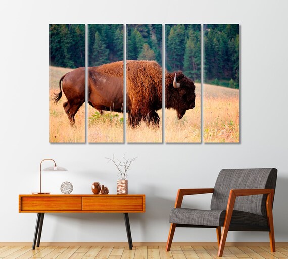 American Bison or Buffalo Canvas Wall Art Home Decor Stretched - Etsy