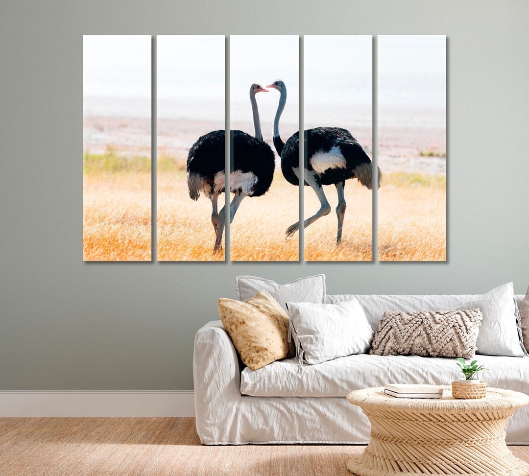 Ostriches Canvas Art Print, Ostriches Print Wall Art, Wild Animals Art ...