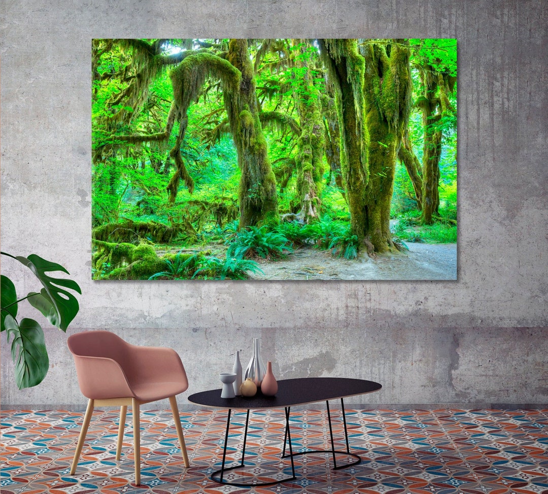 Hoh Rain Forest Large Wall Art Rainforest Living Room Wall Decor - Etsy