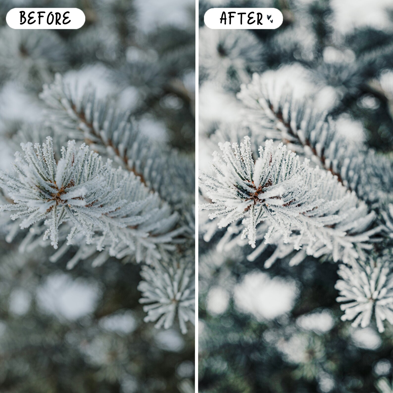 10 SNOW Lightroom Presets – Mobile Desktop – December, Winter, Bright ...
