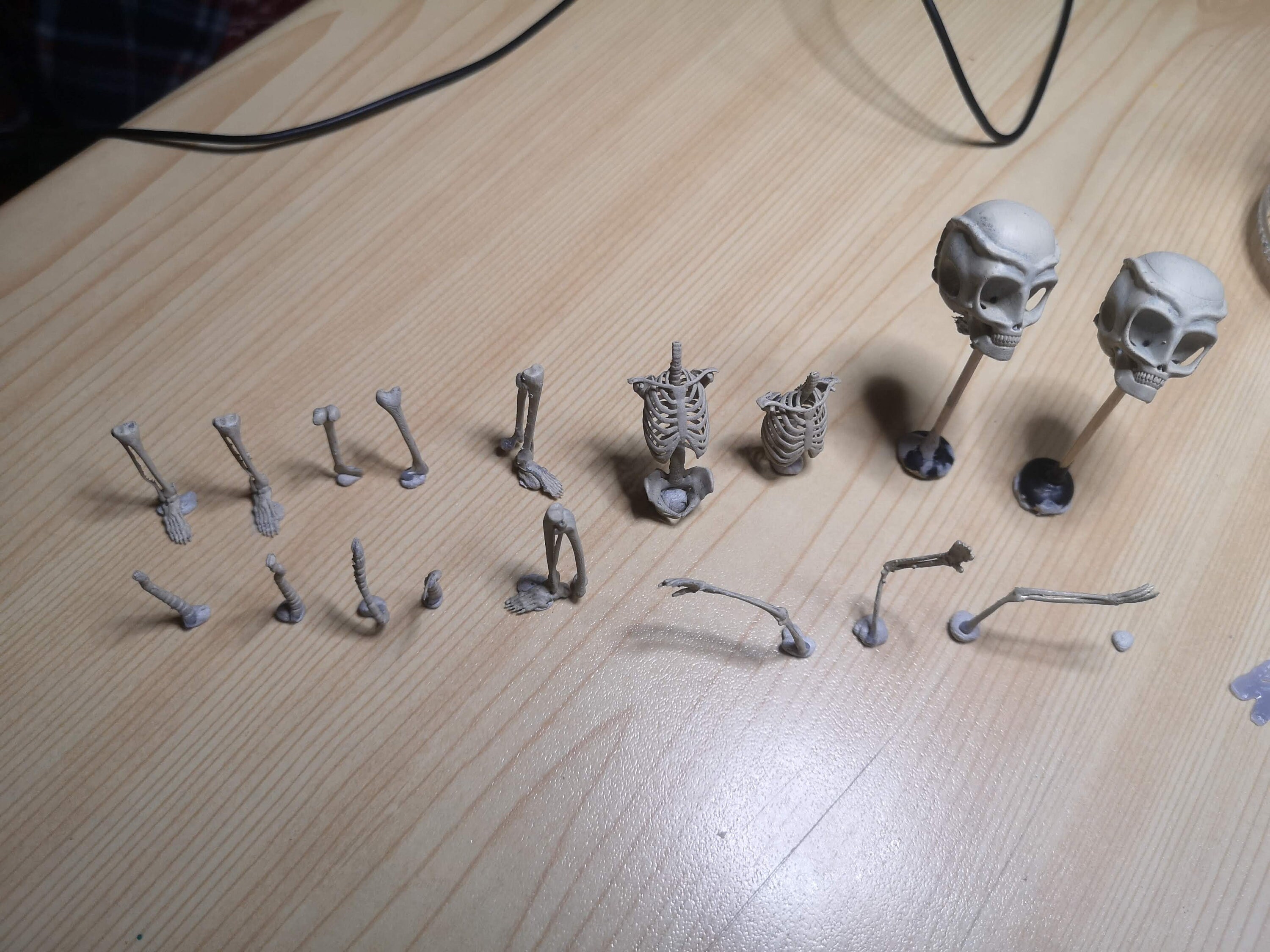 Alien Skeleton, Skeleton in the Jar 3D Print Model STL - Etsy