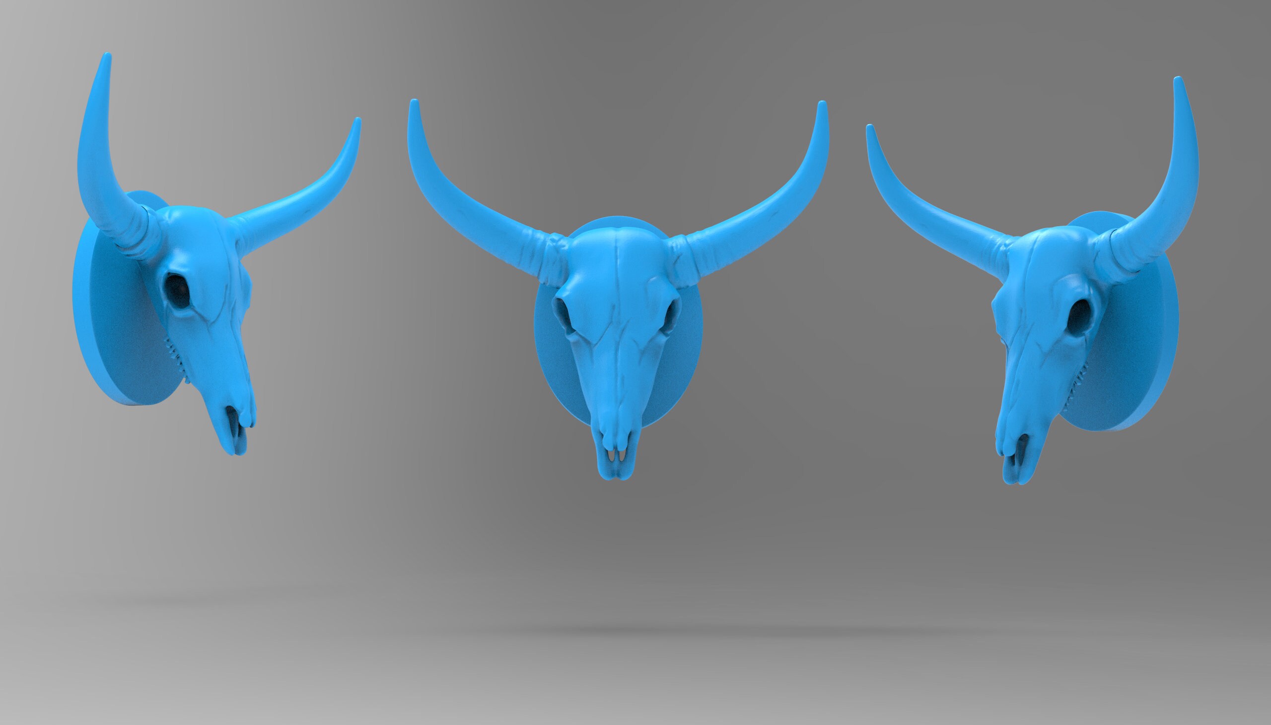 Cow Skull. 3d Model of Cow Skull, 2 Model Stl! Desert Skull (with ...