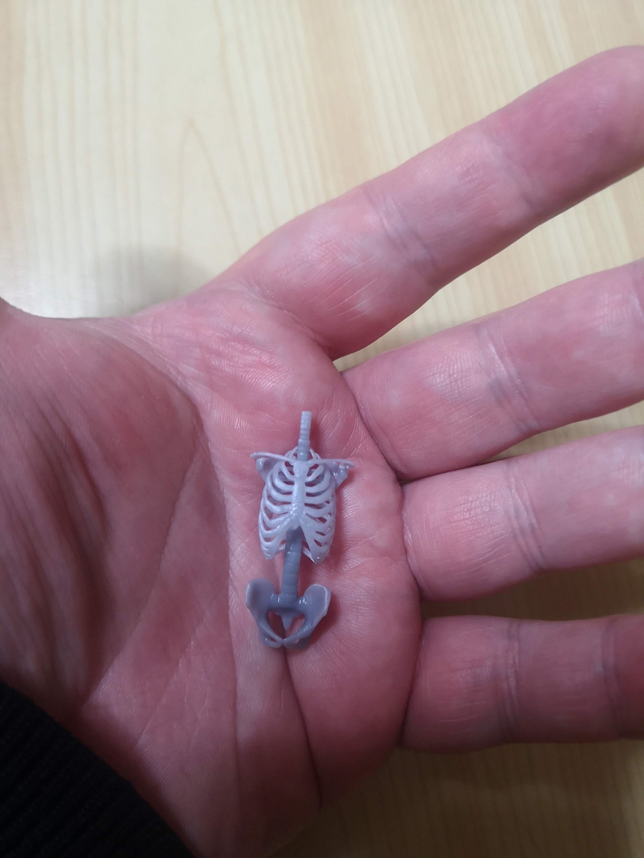 Alien Skeleton, Skeleton in the Jar 3D Print Model STL - Etsy