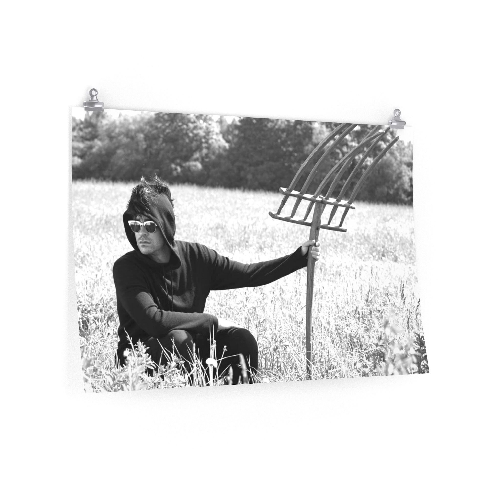 David Rose in Field Poster - Etsy