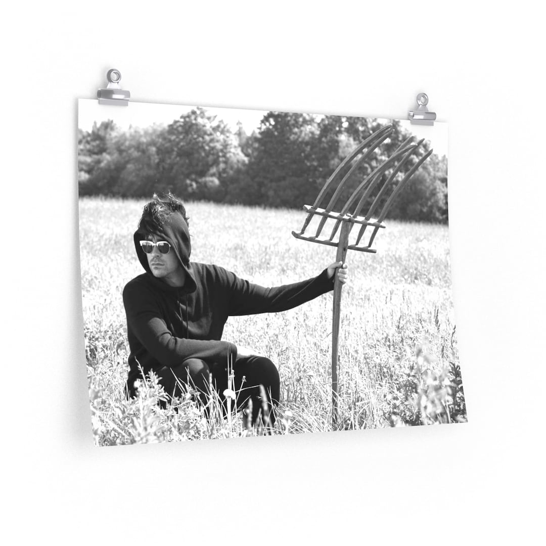 David Rose in Field Poster - Etsy