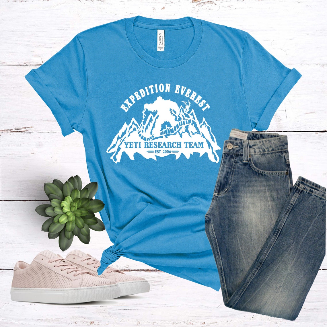Expedition Everest Shirt, Disney Rides Shirt, Mount Everest Shirt ...