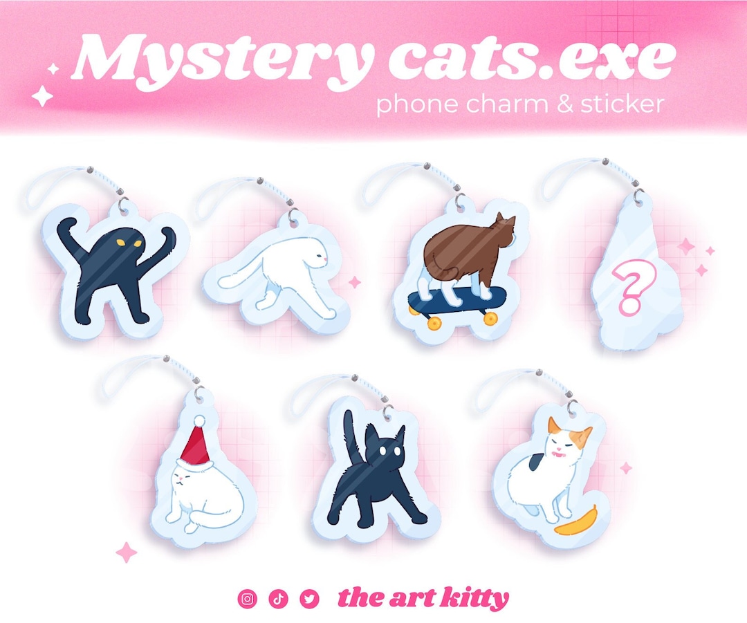 PRE-ORDER Cat Meme Blind Bag / Mystery Cats Surprise Grab - Etsy