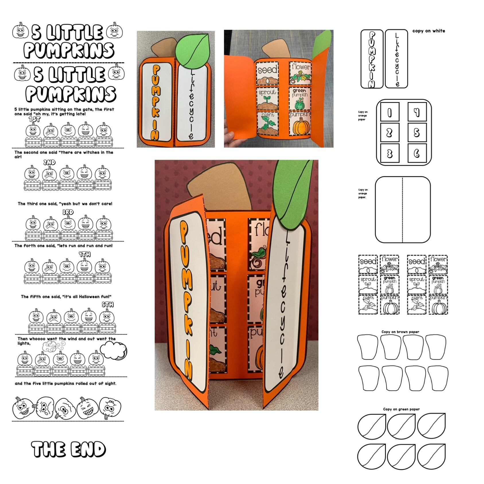 Pumpkin Investigation Activities for Kids, Pumpkin Activities for the ...