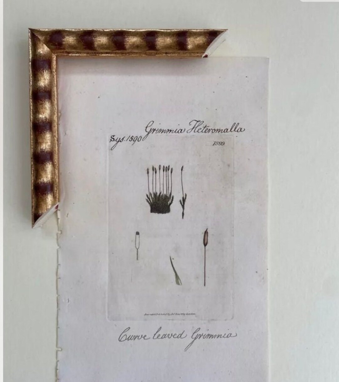 Exclusive Gold Leaf Bobbin Picture Frame 6x4 8x6 16x12 20x16 A4 A3 A2 ...