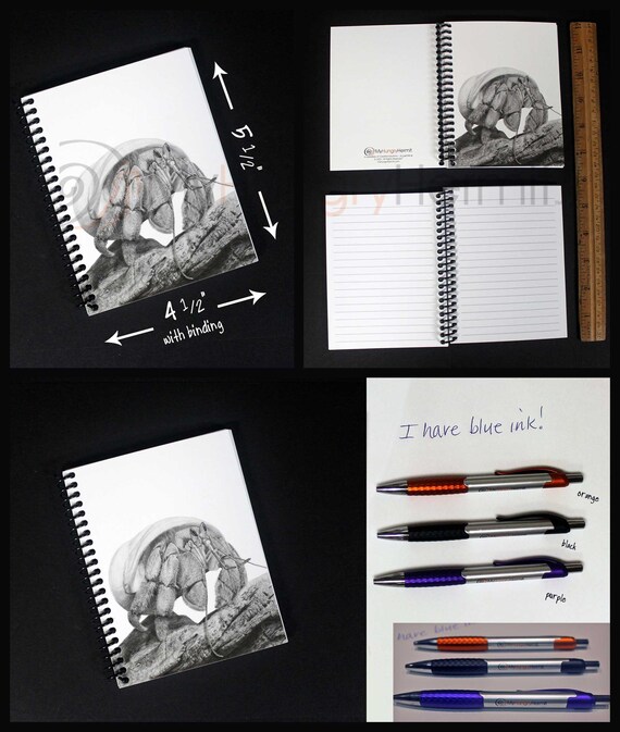Notebook Ecuadorian Hermit Crab Drawing Lined Pages for - Etsy