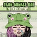 Froggy Bucket Hat | Head Assets | PNG Tuber Accessories | Twitch Assets ...