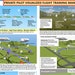 Private Pilot Visualized Flight Training Maneuvers (poster, Size 27 X ...