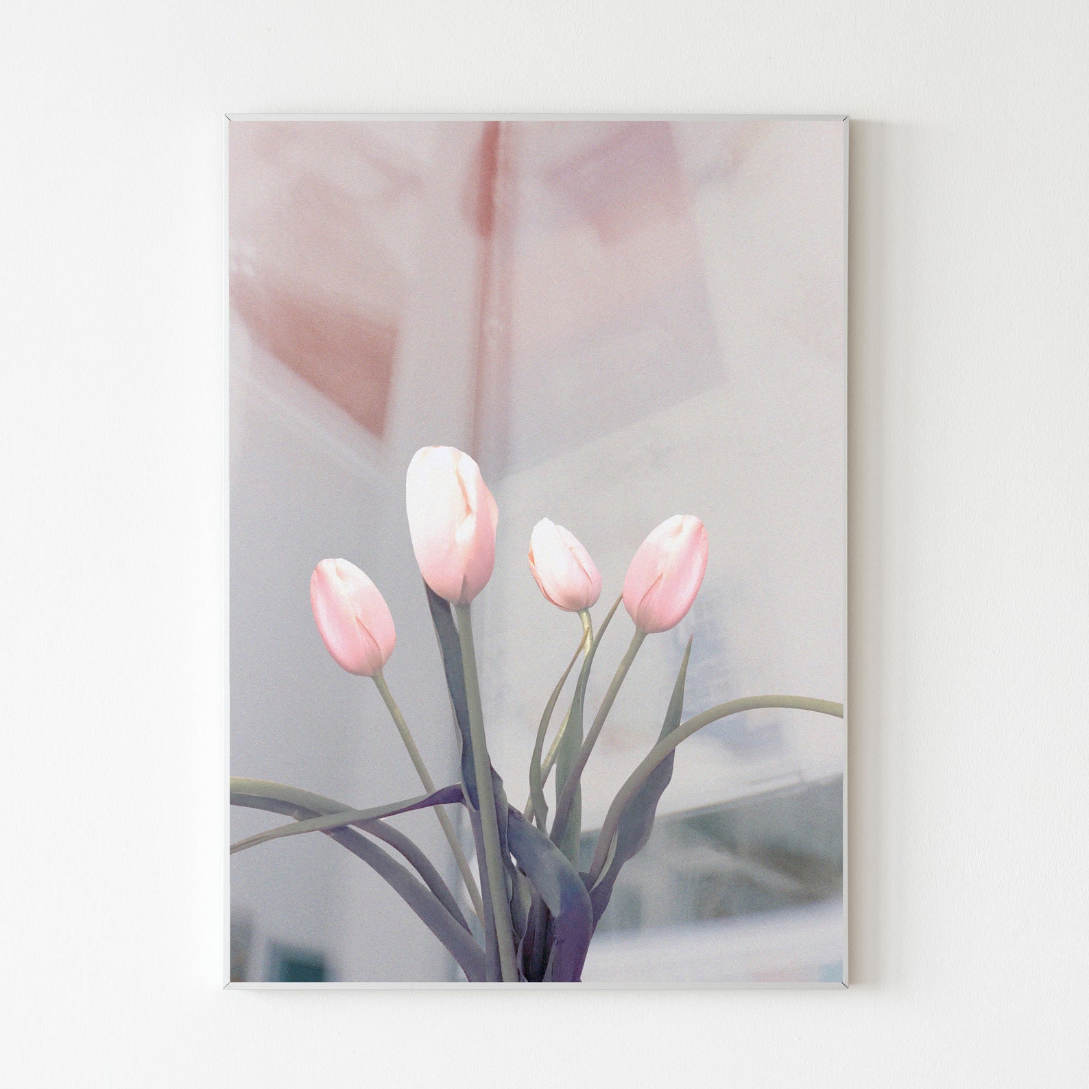 Flower Wall Art,botanical Art, Photography Print,floral Poster,tulip ...