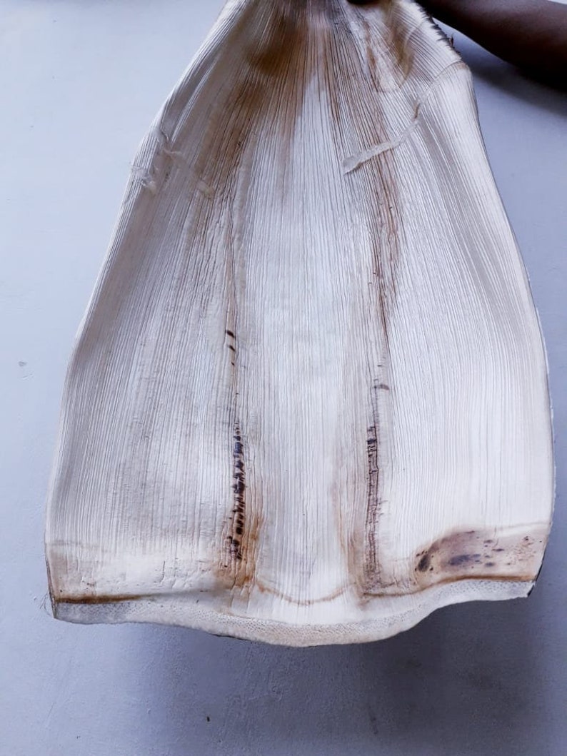 NATURAL Areca Leaf Sheath - Etsy