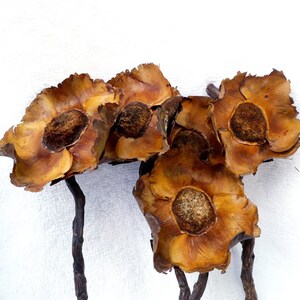 BEAUTIFUL, Naturally Coconut Flowers-25 - Etsy