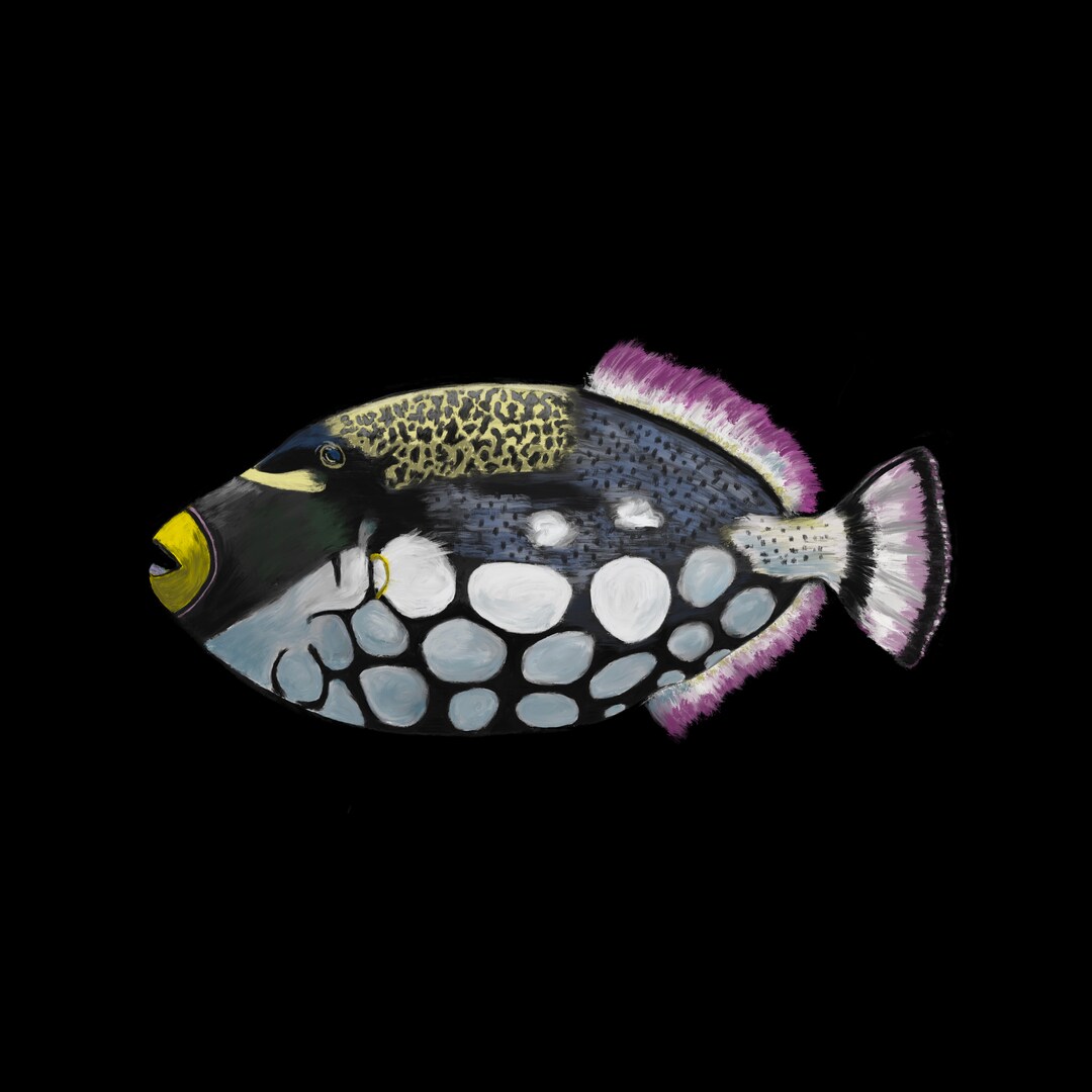 Clown Triggerfish Painting, Clown Triggerfish Wall Art, Clown ...