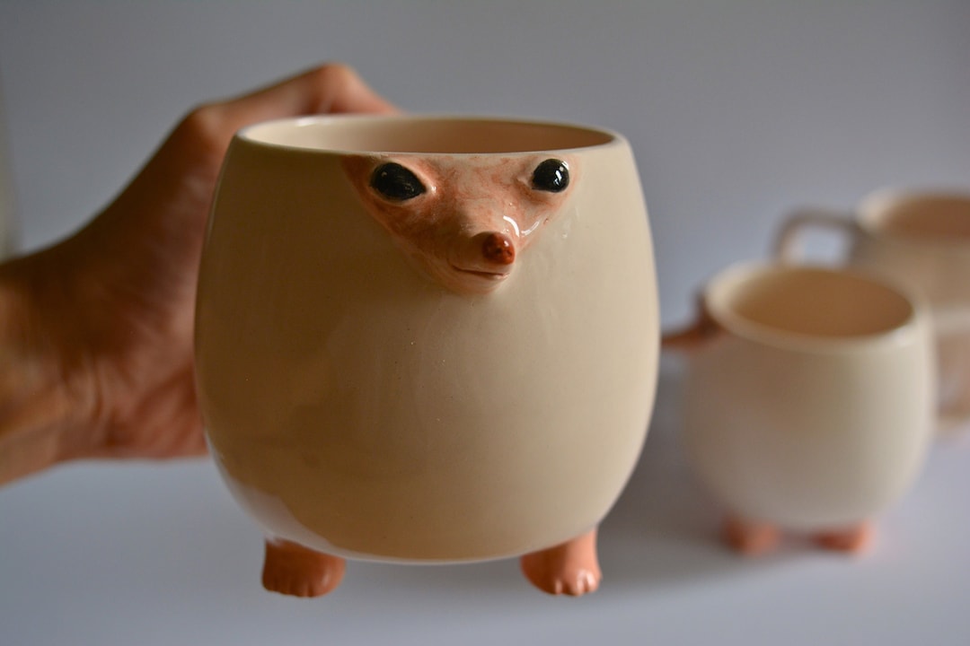 Hedgehog Mug, Ceramic Coffee Mug, Hand Painted Tea Cup, Gift for Animal ...